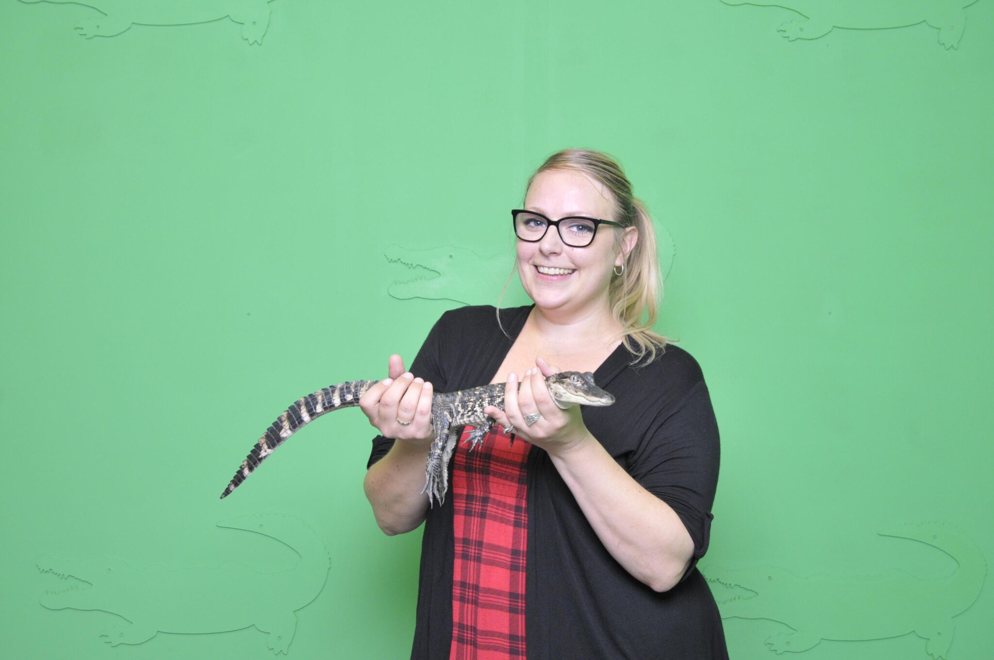 Crocodiles of the World - Image Insight
