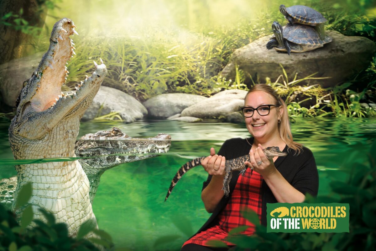 Crocodiles of the World - Image Insight