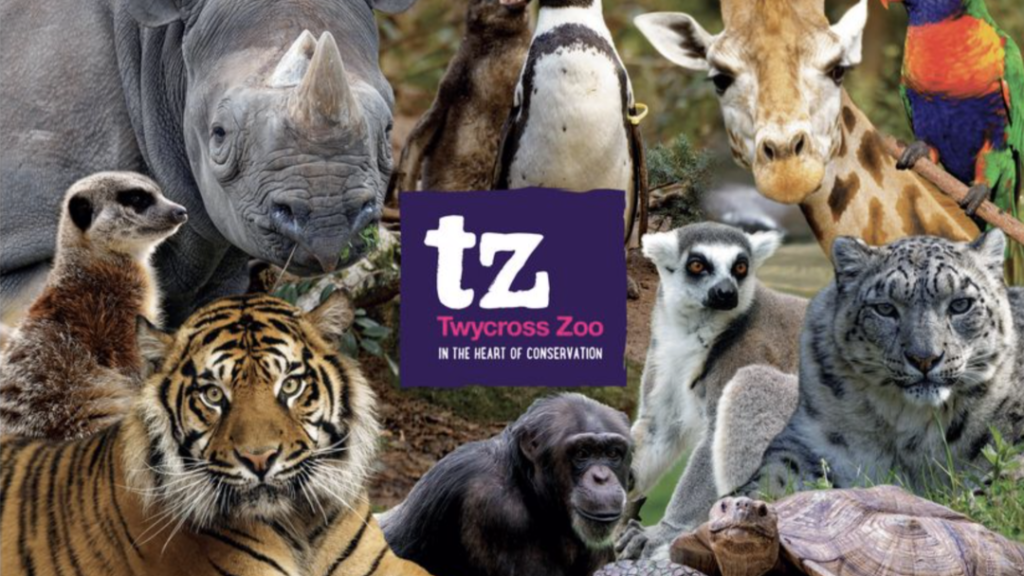 Twycross Zoo - Image Insight