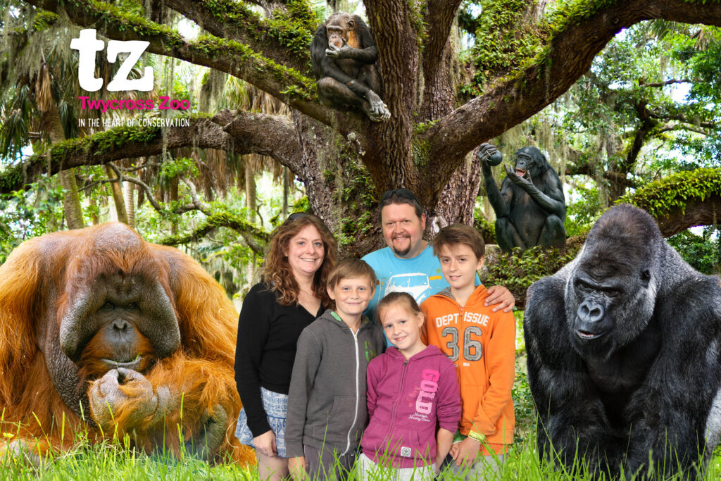 Twycross Zoo - Image Insight