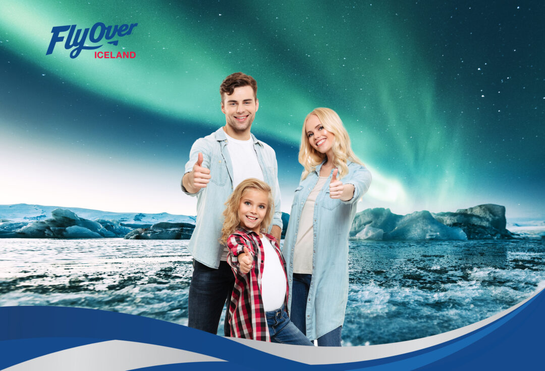 FlyOver Iceland - Image Insight