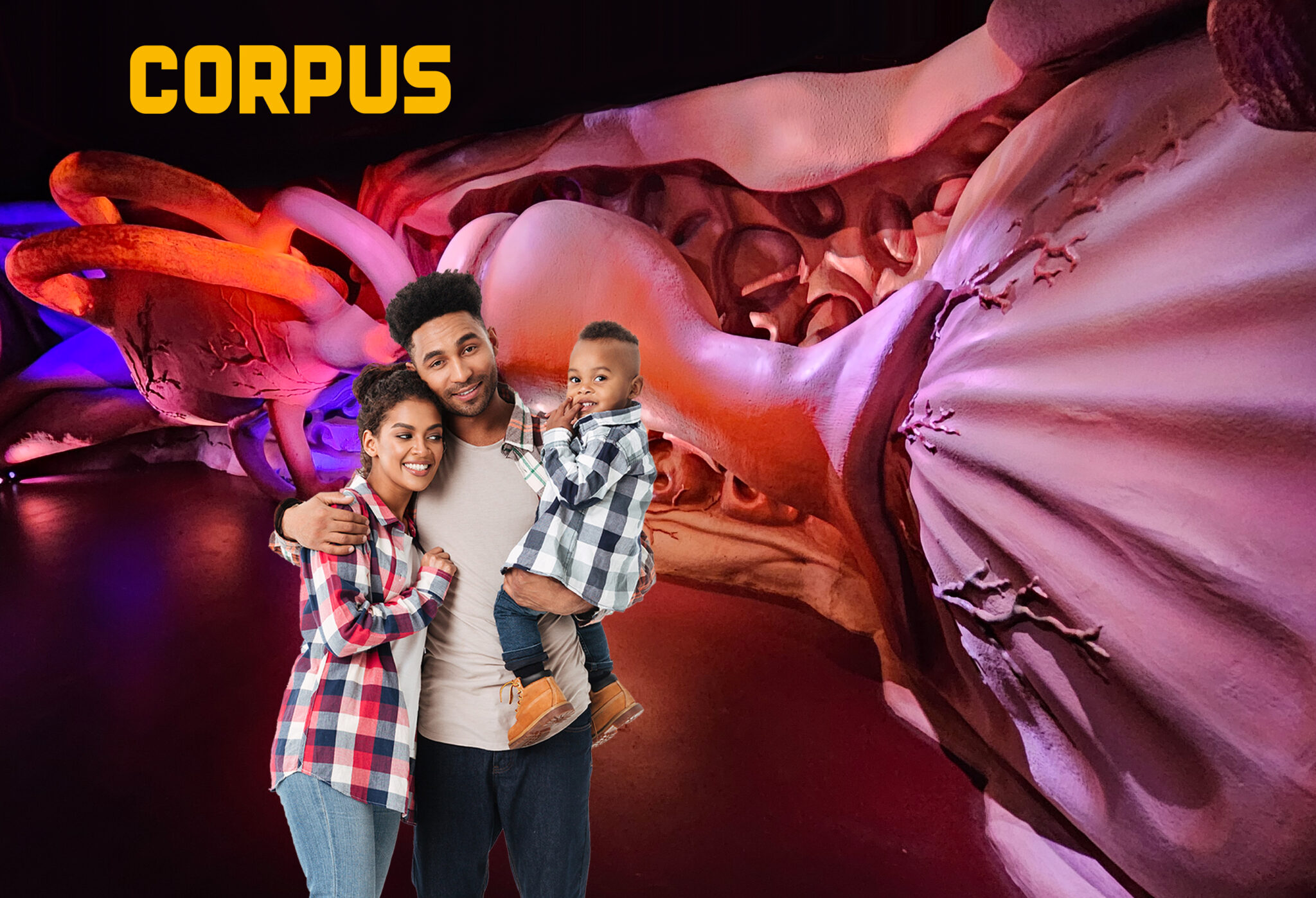 LED Video Wall Green Screen - Image Insight